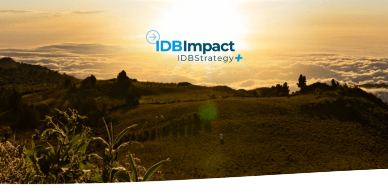 IDB | Institutional Strategy